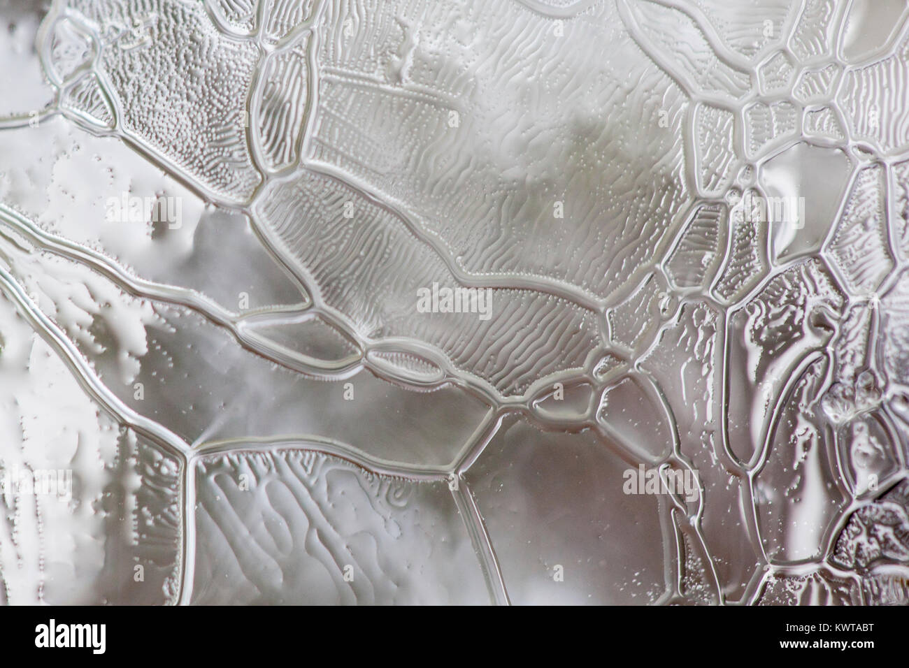 Close up patterns hi-res stock photography and images - Alamy