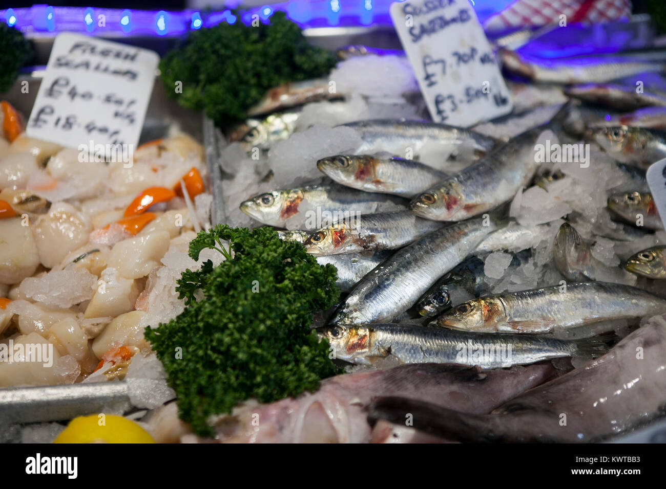 Freshly caught Sea fishes and other seafood on display at Borough ...