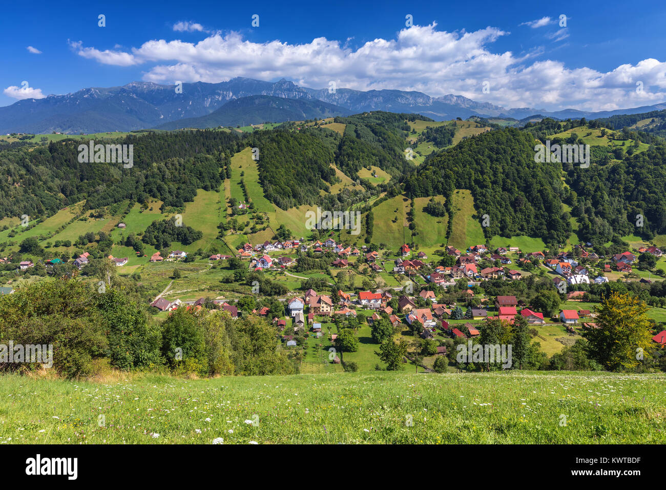 Summer alpine Transylvania landmark, landscape with green fields and ...