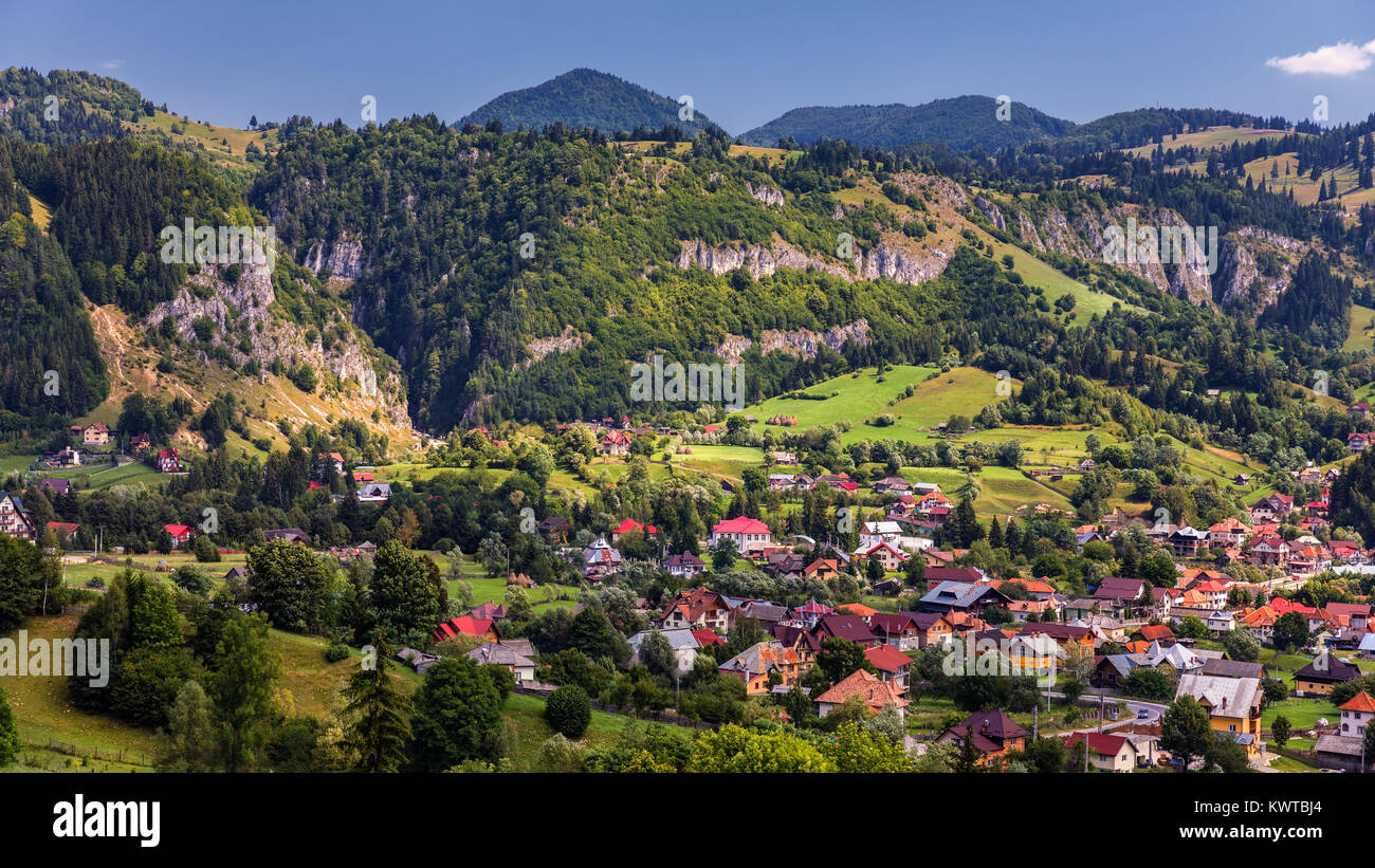 Summer alpine Transylvania landmark, landscape with green fields and ...
