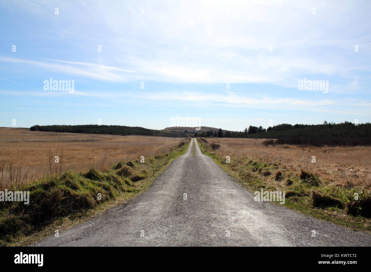 Country road through a sunny field, Ireland Stock Photo - Alamy