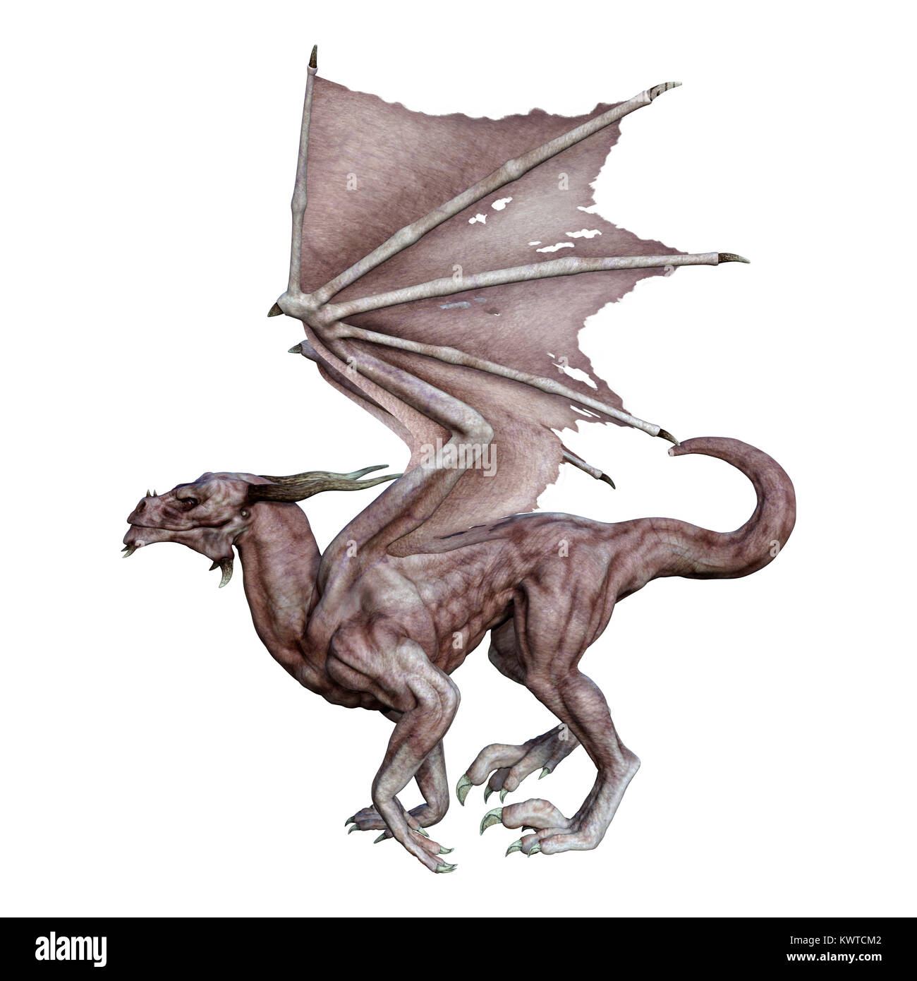 3D rendering of a fantasy vampire dragon isolated on white background ...