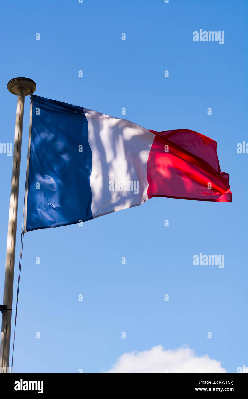 Flag of France (French: Drapeau français) is a tricolour flag featuring ...