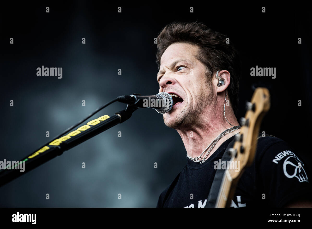 The American heavy metal band Newsted performs a live concert at the ...
