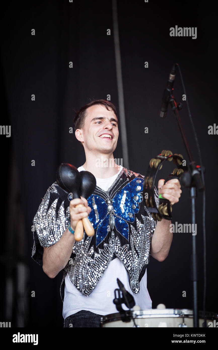 Ocellot band hi-res stock photography and images - Alamy