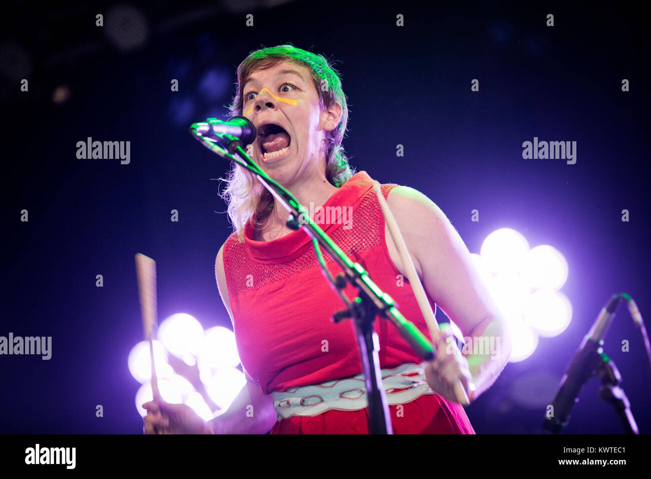 The American musician, composer and singer Merrill Garbus is the artist ...