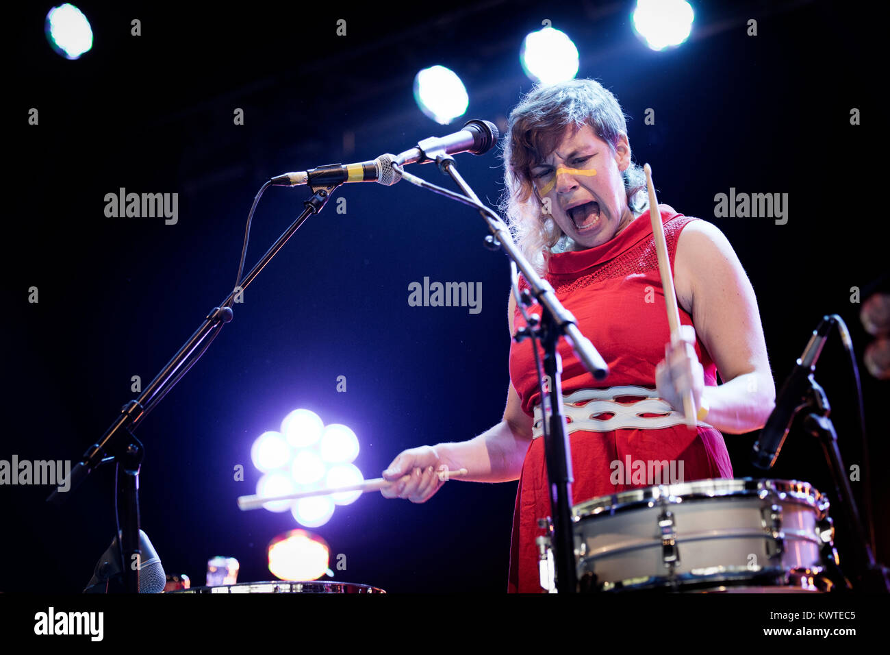 The American musician, composer and singer Merrill Garbus is the artist ...