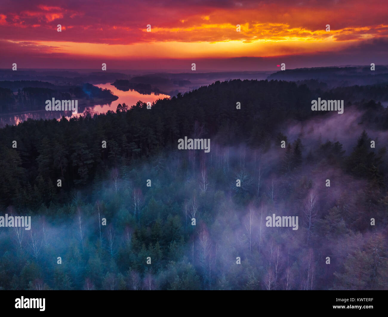 Aerial view dark forest treetops hi-res stock photography and images ...