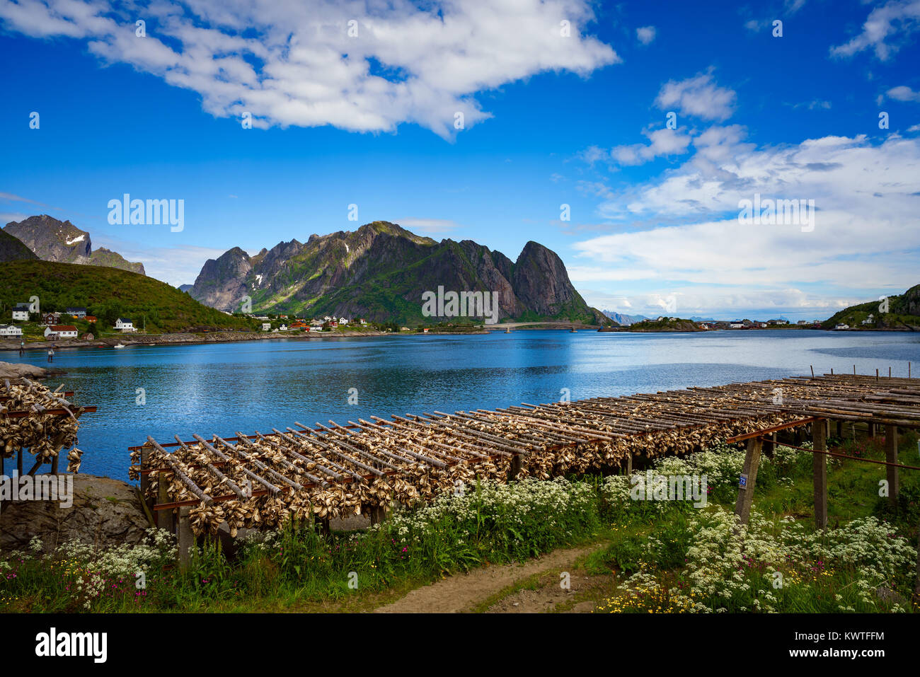Fish heads drying on racks hi-res stock photography and images - Alamy
