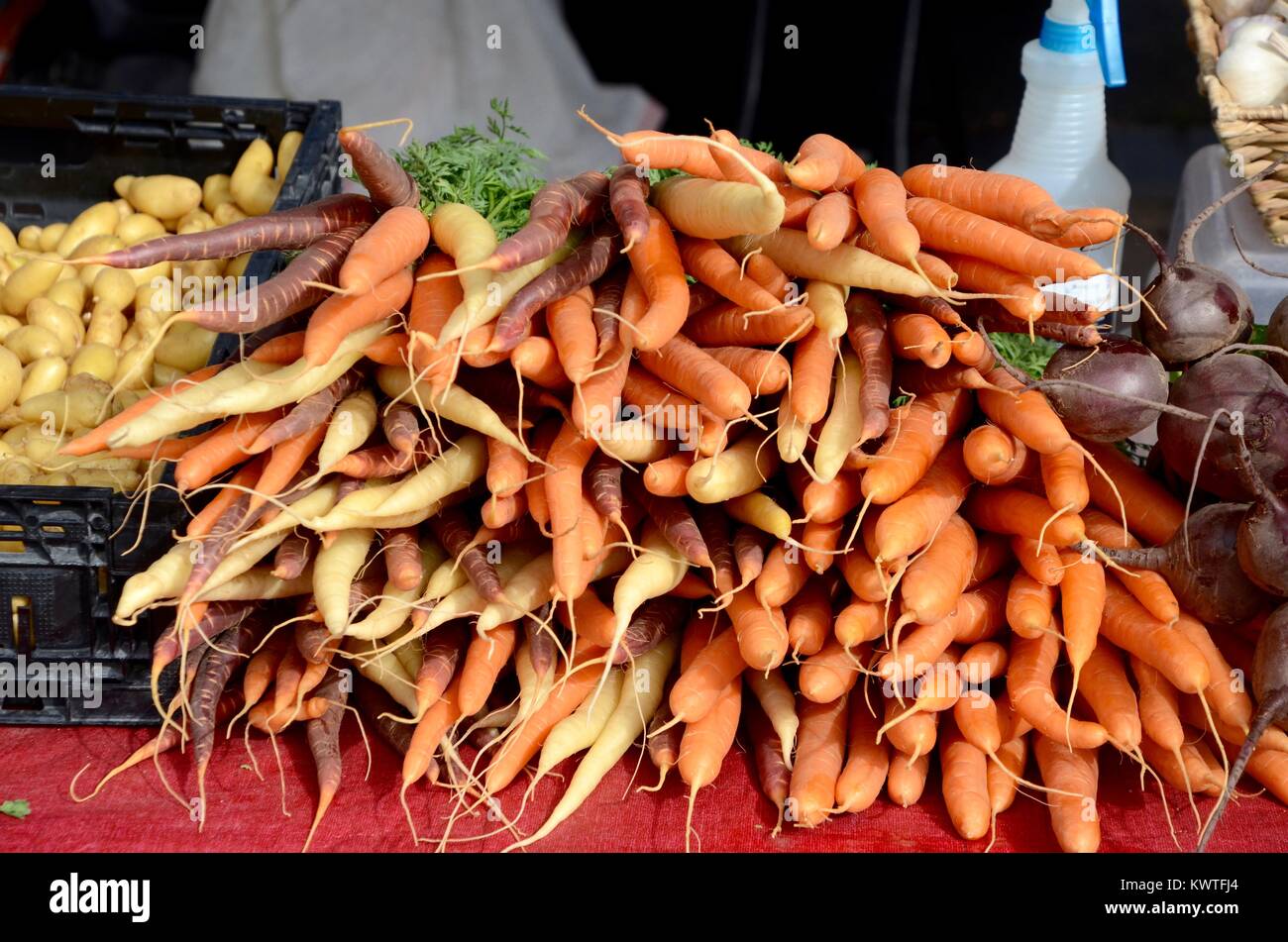 carrot vegetable stall santa fe farmers market new mexico USA Stock ...