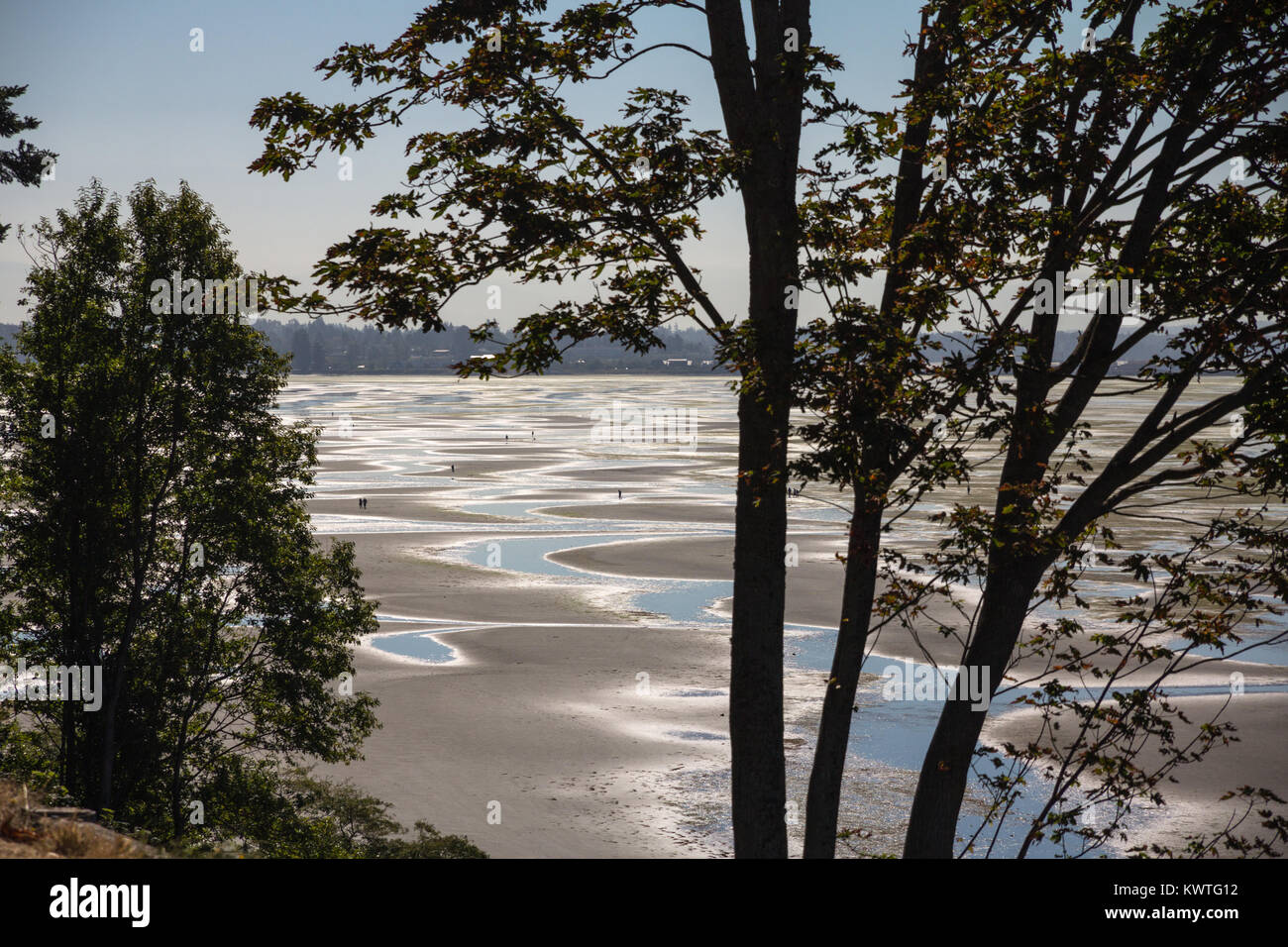 Acres of sand and mud - tidal flats near White Rock. At low tide ...