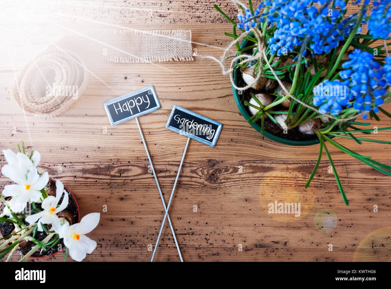 Two Signs With English Text Happy Weekend. Sunny Spring Flowers Like ...