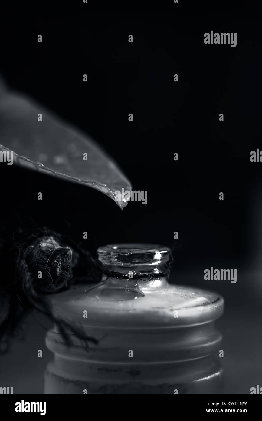 A single drop of water coming in the bottle.Concept of saving water ...