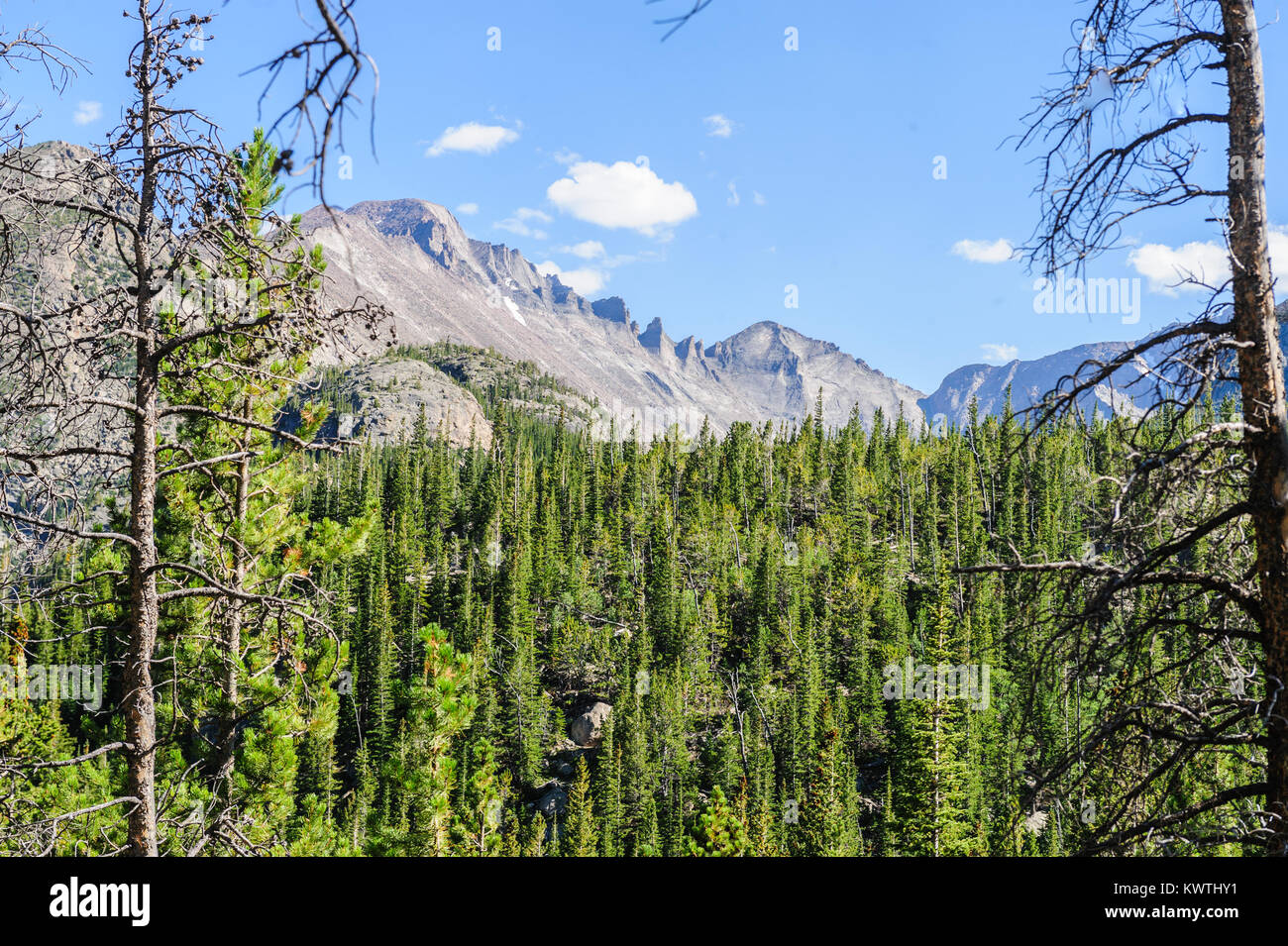 Nymph Lake, Colorado Stock Photo - Alamy