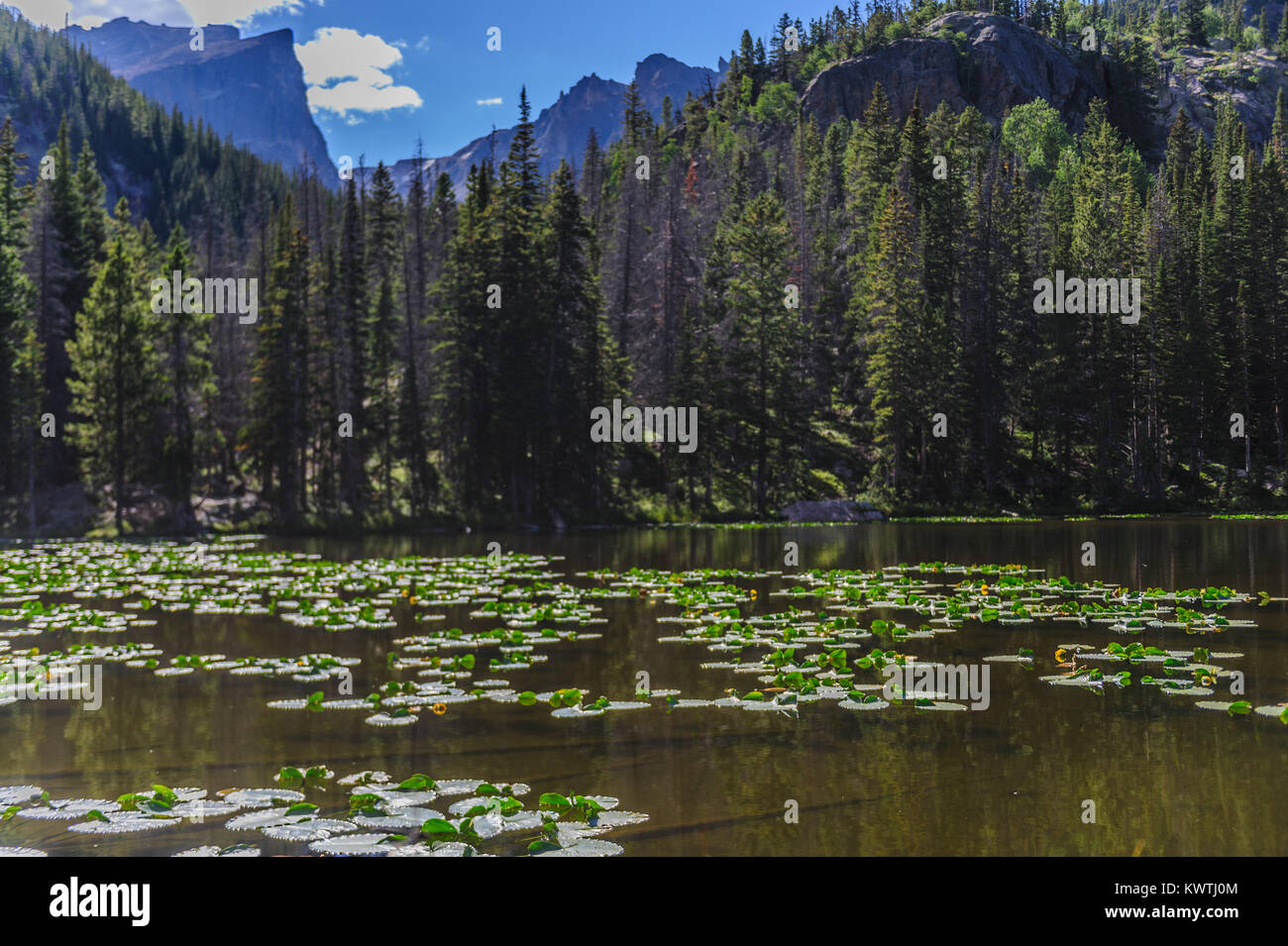 Nymph Lake, Colorado Stock Photo - Alamy