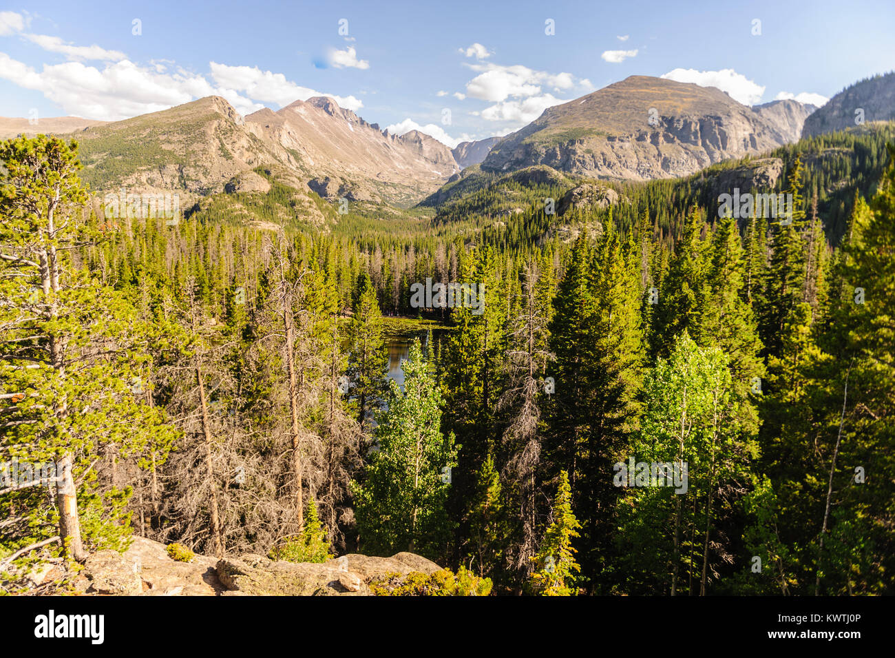 Nymph Lake, Colorado Stock Photo - Alamy