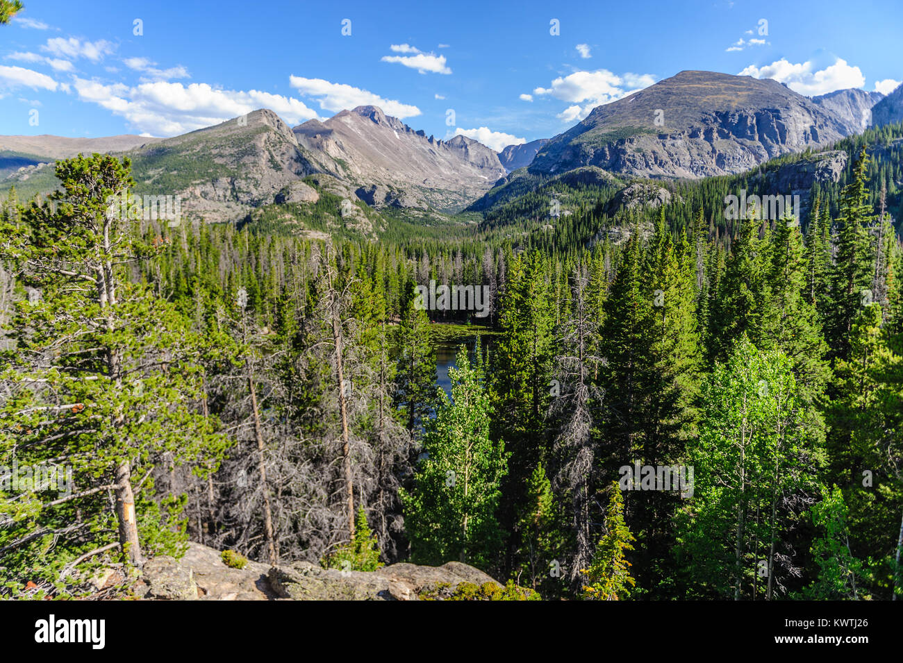 Nymph Lake, Colorado Stock Photo - Alamy