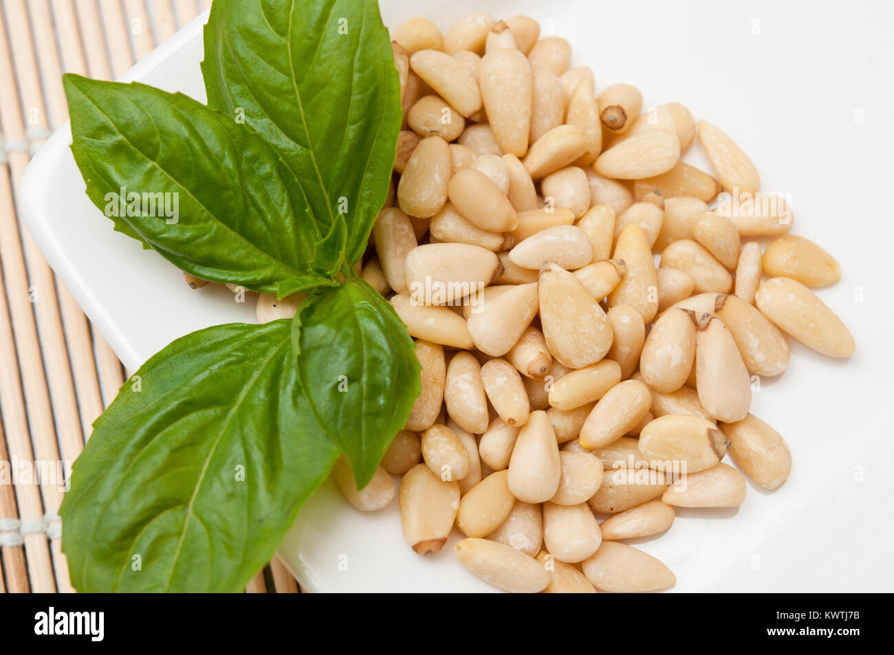 Cook pine hi-res stock photography and images - Alamy