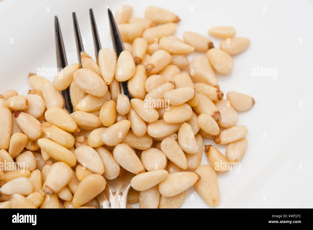 Cook pine hi-res stock photography and images - Alamy