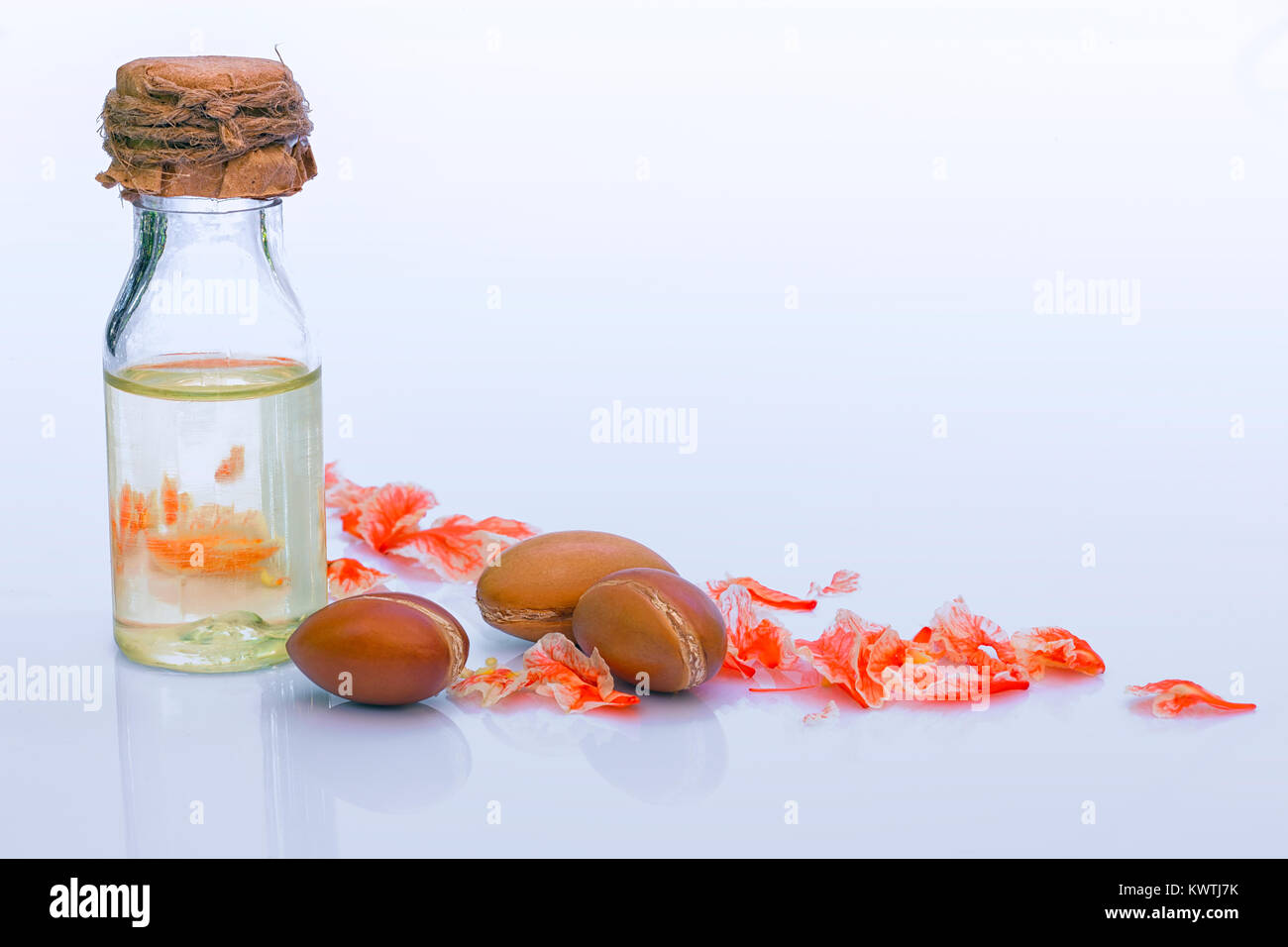 Argan fruit (Argania spinosa), nuts and oil on white background , this ...
