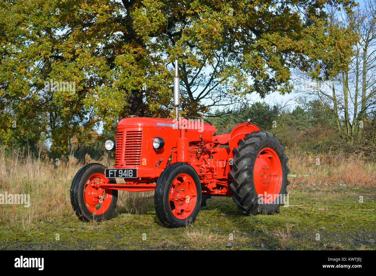 1955 David Brown 25D Tractor Stock Photo - Alamy