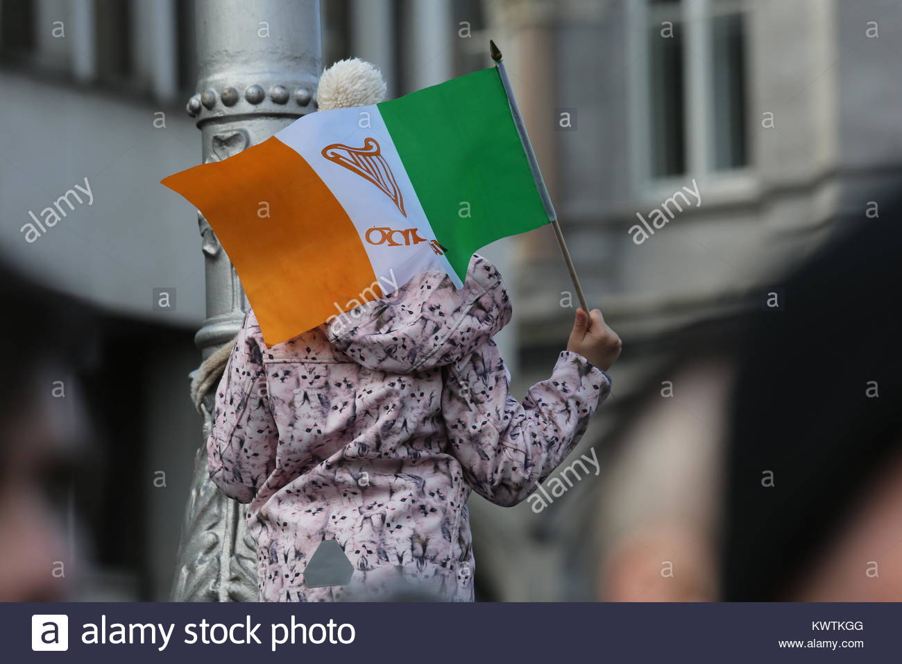An Irish flag is held aloft during the 1916 Easter Rising celebrations ...