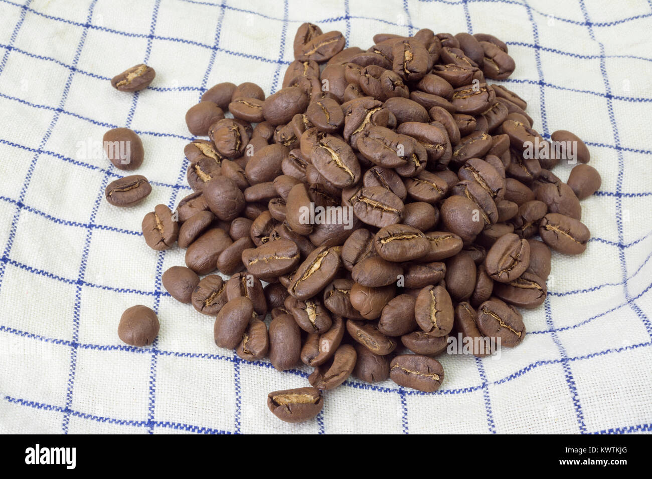 Maragogype High Resolution Stock Photography and Images - Alamy