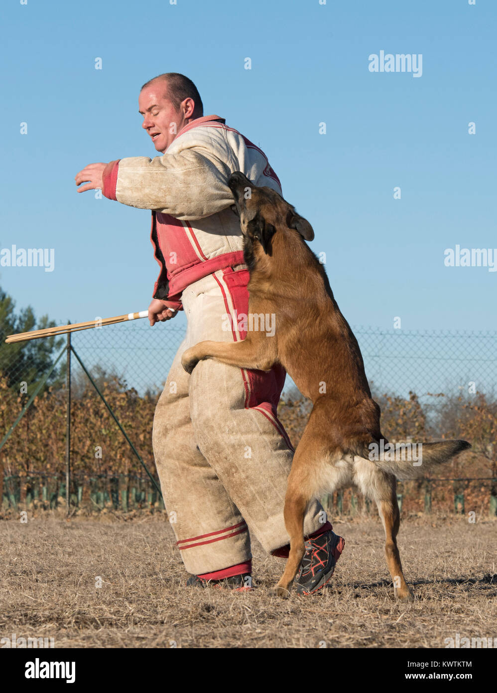 Aggressive policeman hi-res stock photography and images - Alamy