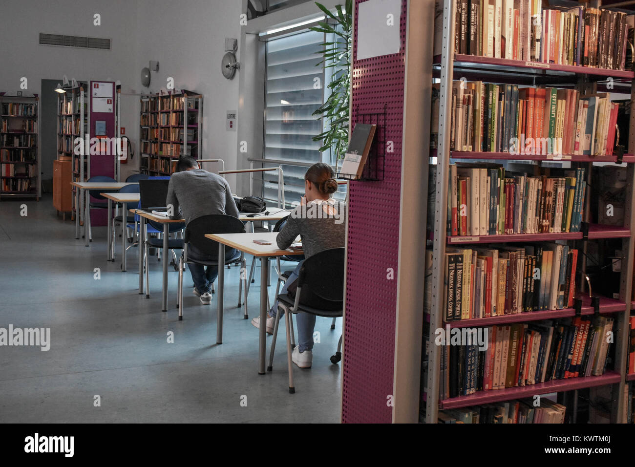 Student studying in the library/conceptual image of education Stock ...