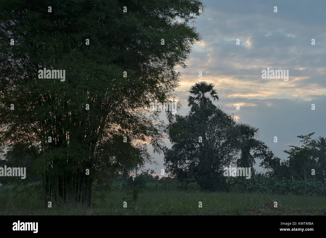 Wallpaper wallpaper hi-res stock photography and images - Alamy