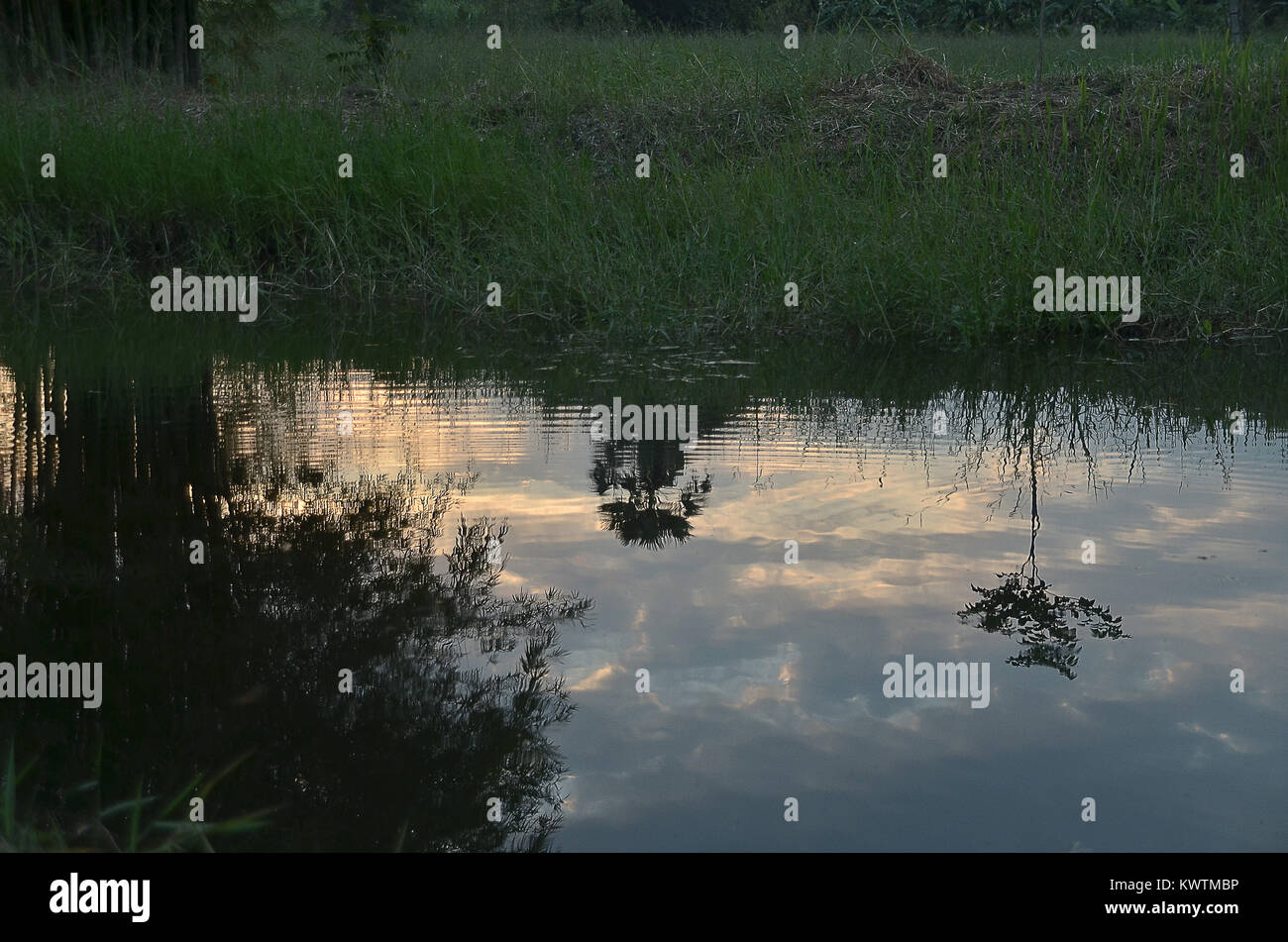 Wallpaper wallpaper hi-res stock photography and images - Alamy