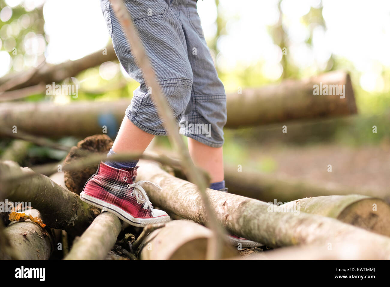 A child's feet on logs in a wood Stock Photo - Alamy