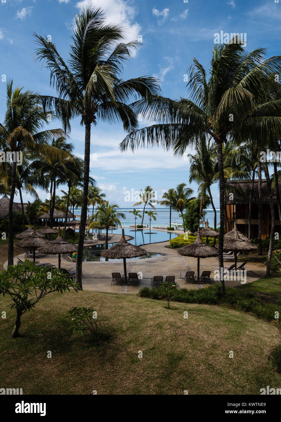 Bel tree hi-res stock photography and images - Alamy