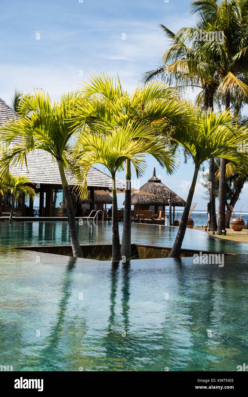 Palms in an infinity pool at the Heritage Awali hotel in the south of ...