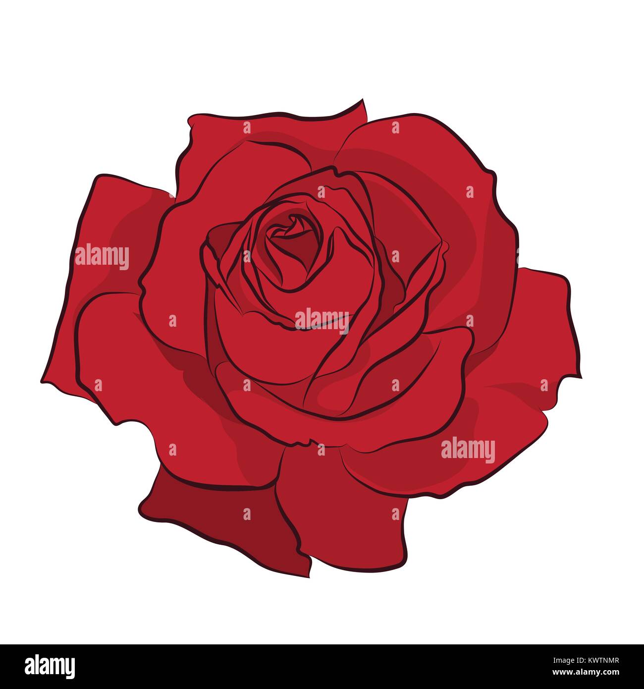 Red Rose Silhouette