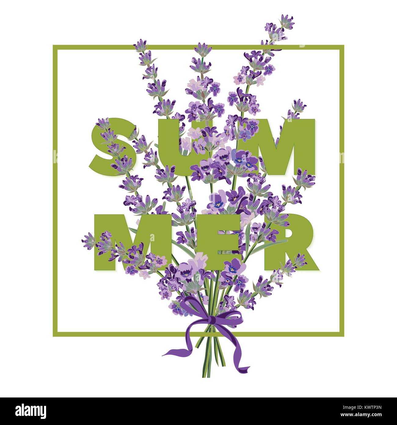 Summer floral background with beautiful lavender flowers on white ...