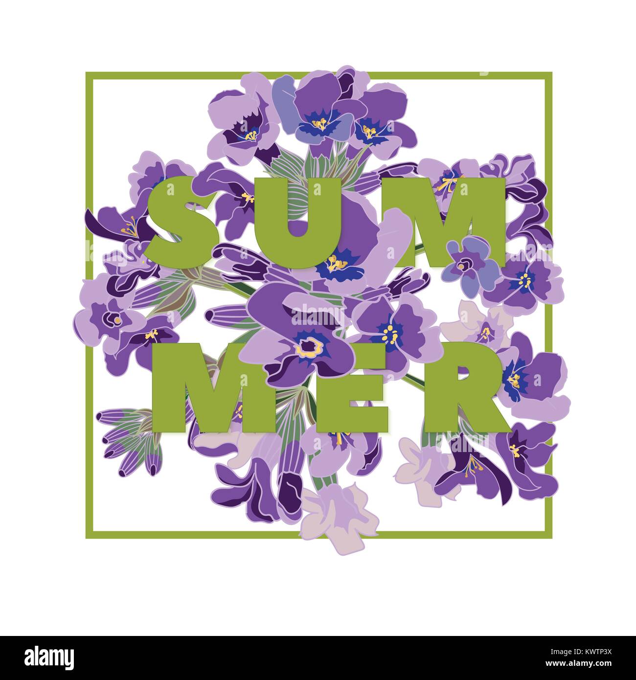 Summer floral background with beautiful lavender flowers on white ...