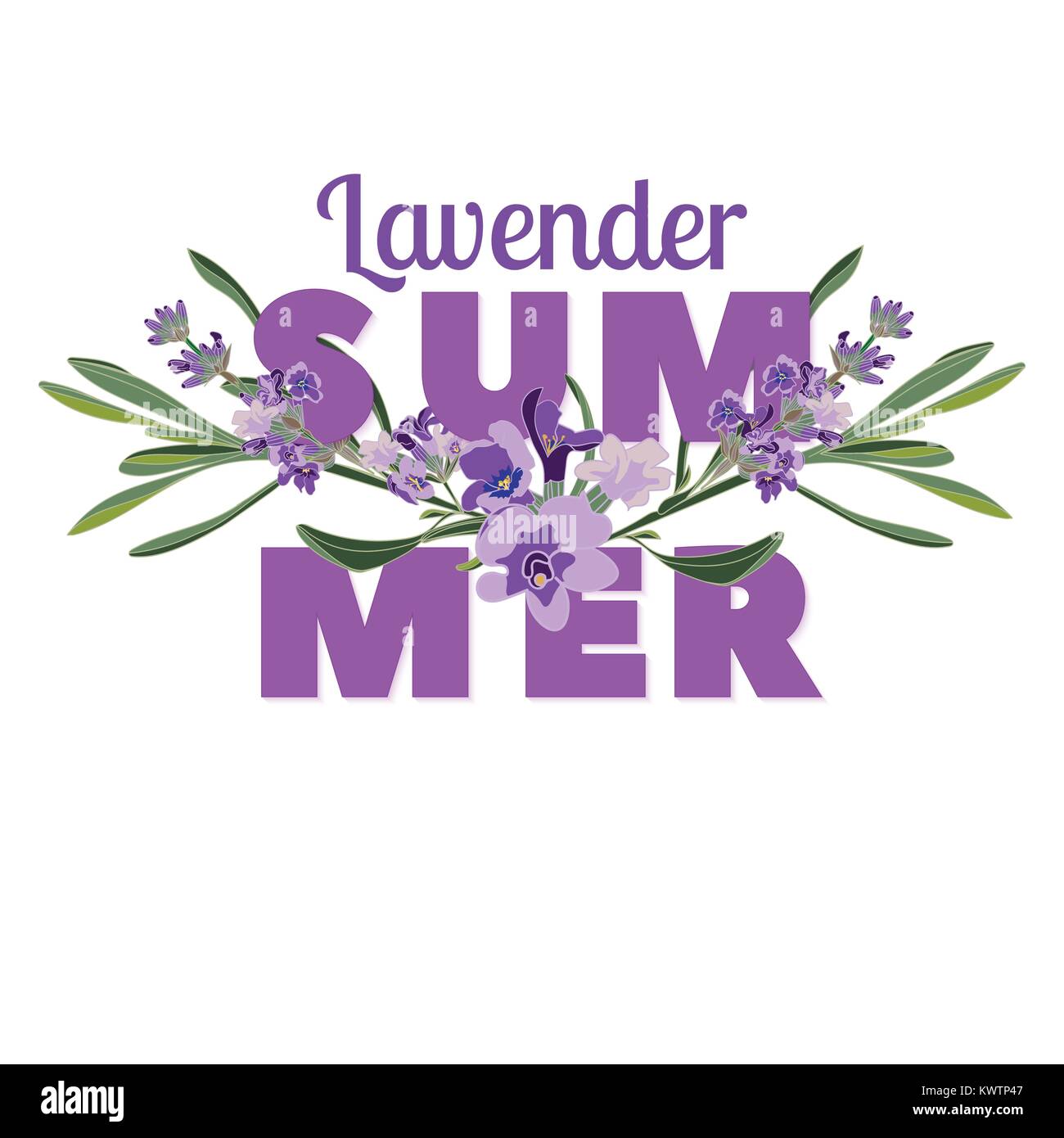 Summer floral background with beautiful lavender flowers on white ...