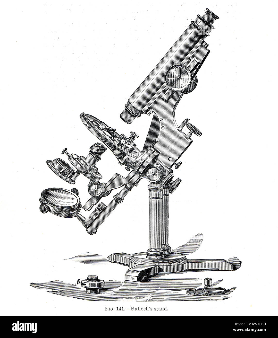 Bulloch hi-res stock photography and images - Alamy