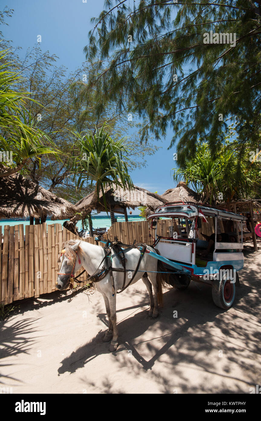 Traditional means of transport hi-res stock photography and images - Alamy