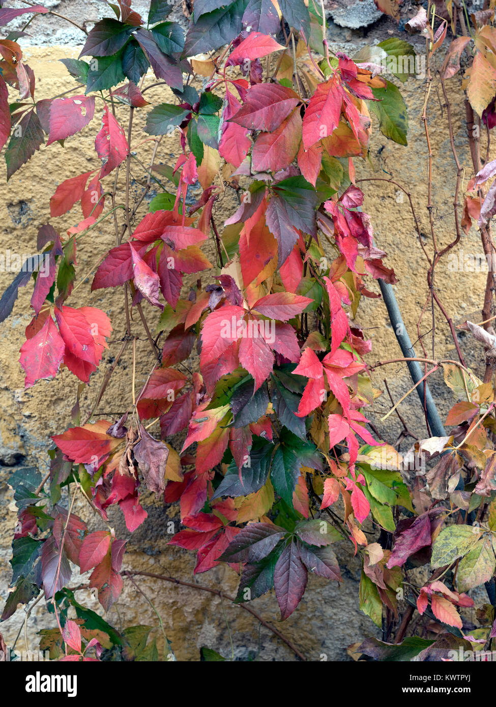 Fall of athens hi-res stock photography and images - Alamy