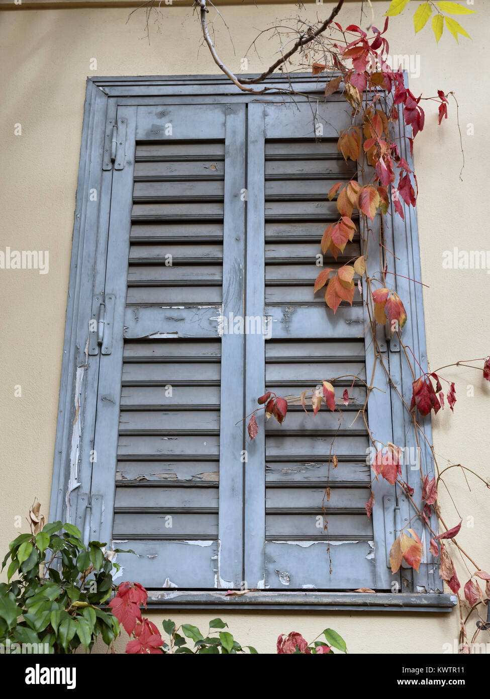 Window with traditional architecture in Plaka, Athens, Greece Stock ...