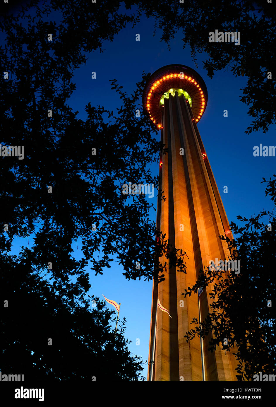 Iconic view sunset trees hi-res stock photography and images - Alamy