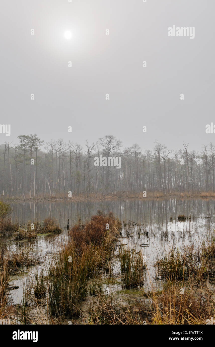 Blackwater estuary landscape hi-res stock photography and images - Alamy