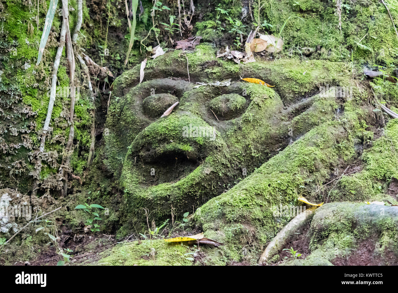 Moss-covered monkey god, Goa Gajah temple, Ubud, Bali Island, Indonesia ...