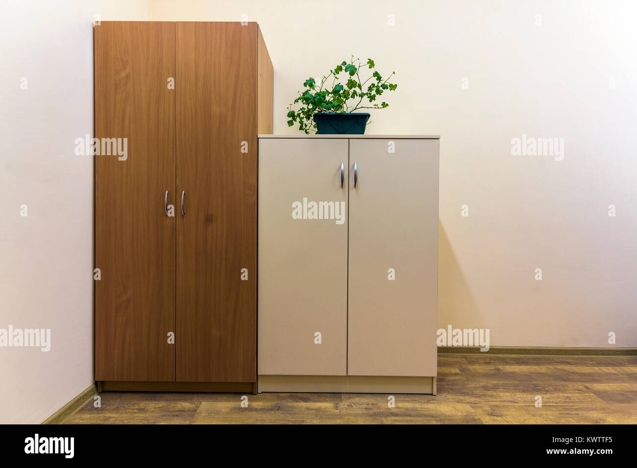 A big and a little cupboard with green plant on it Stock Photo - Alamy
