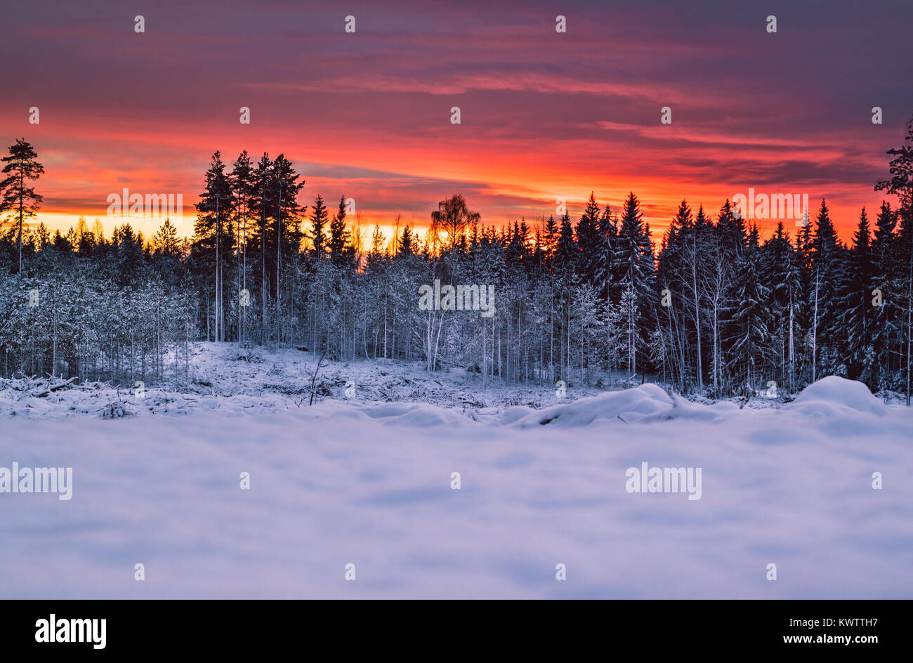 Winter landscape, Salo Finland Stock Photo - Alamy