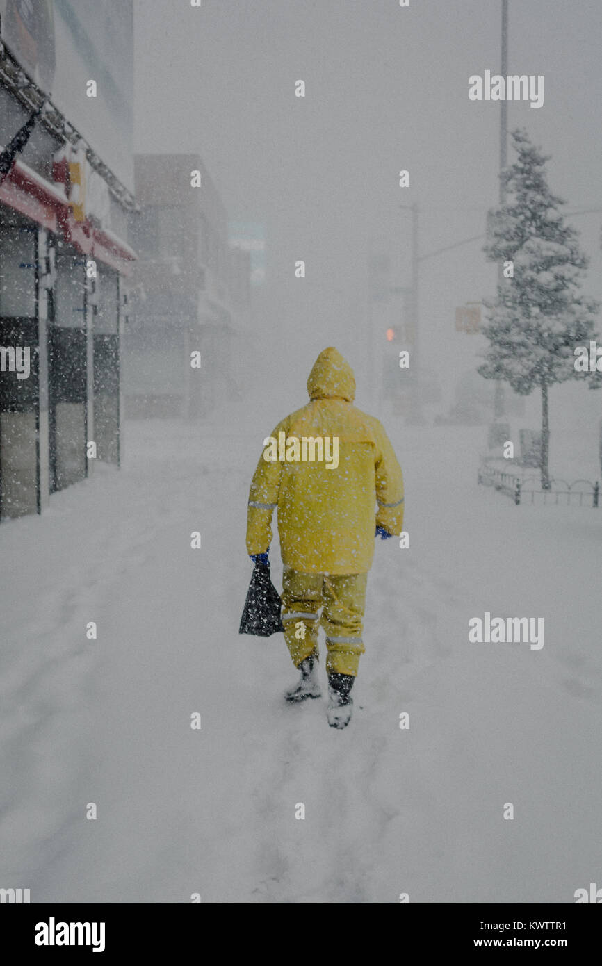 Bomb Cyclone (blizzard) in New York Stock Photo - Alamy