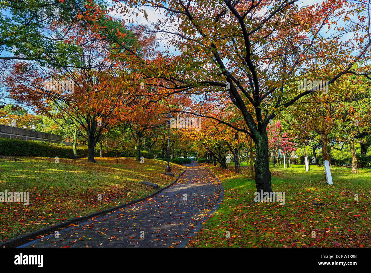 Autumn Laves at Hiroshima Central Park in Japan Stock Photo - Alamy