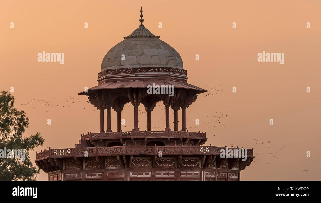 Dome shape tree hi-res stock photography and images - Alamy